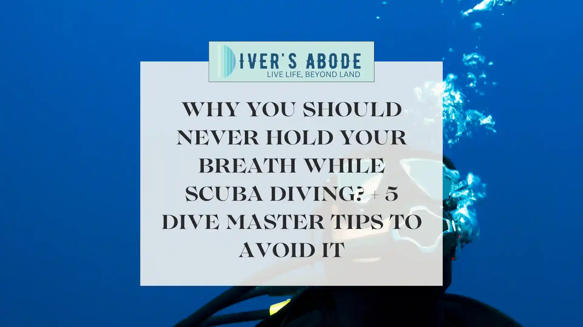 Why You Should Never Hold Your Breath While Scuba Diving? + 5 Dive ...